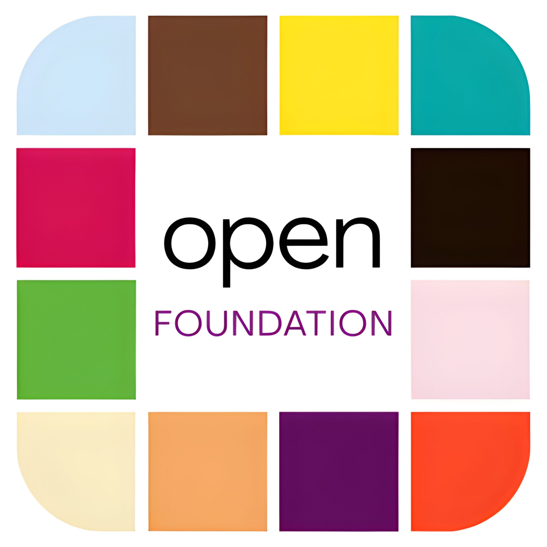 Madison’s OPEN Foundation updates annual programing under new ...